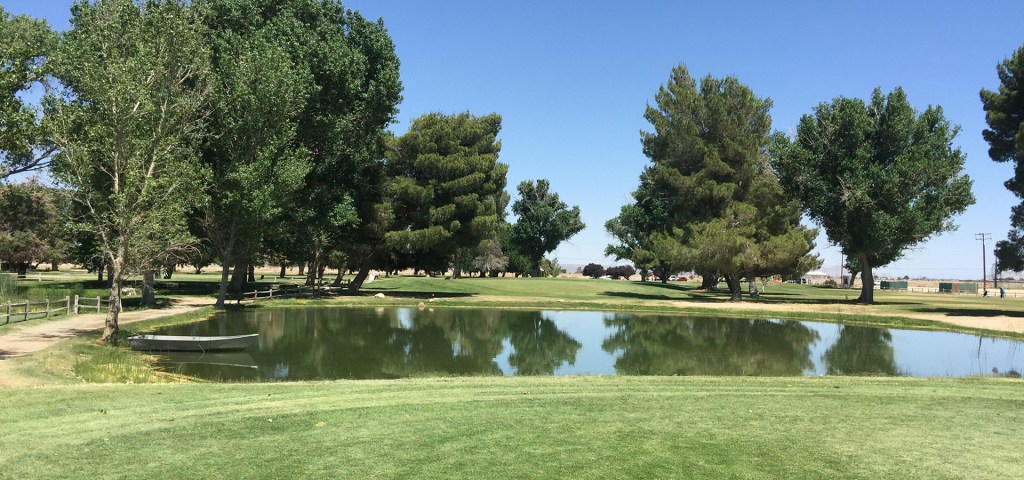 HOME - Antelope Valley Golf